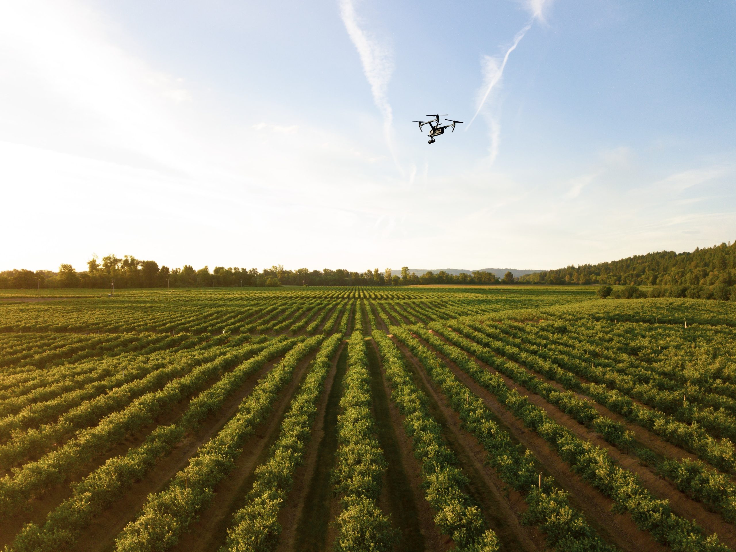 Aloft - Drone Fleet Management Software & UTM Services